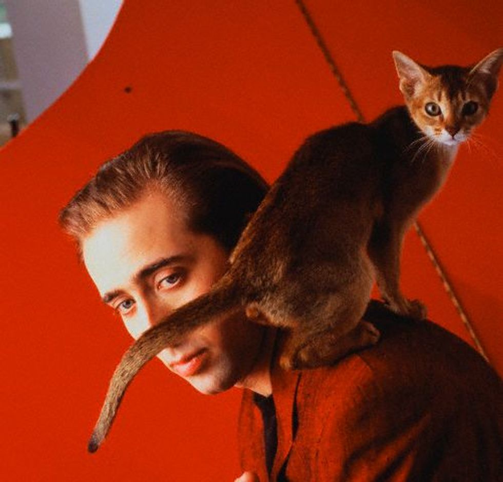 Famous People and Their Cats - Love Meow
